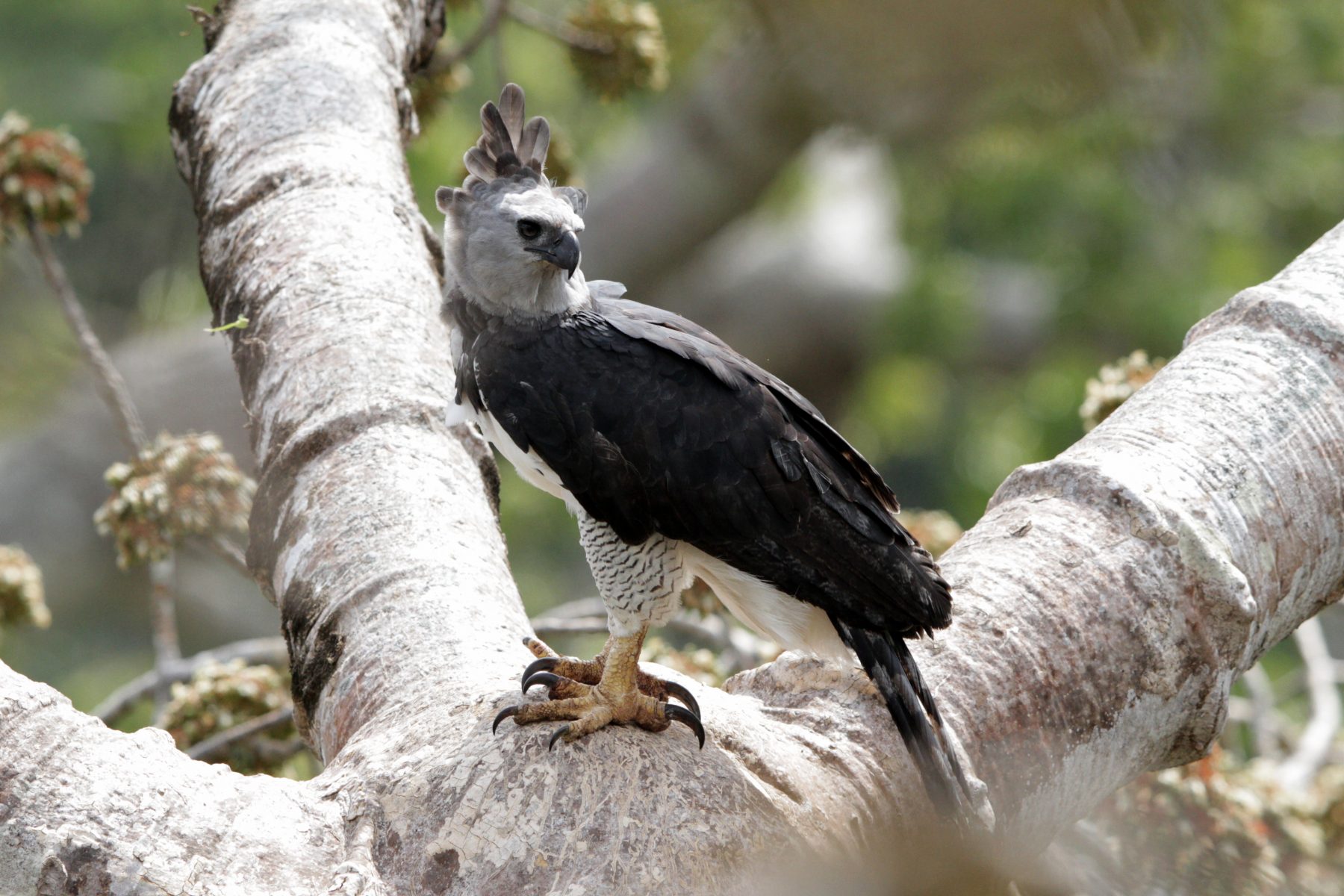 Pictures & Media – EarthMatters.org