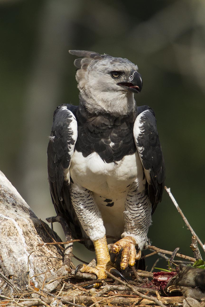 Pictures & Media – EarthMatters.org