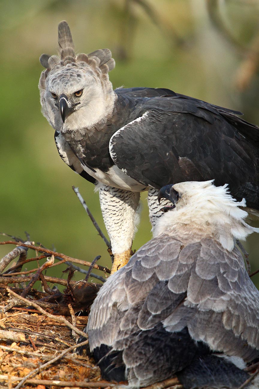 Pictures & Media – EarthMatters.org