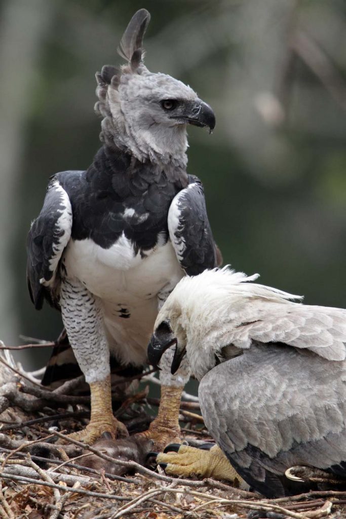 Pictures & Media – EarthMatters.org